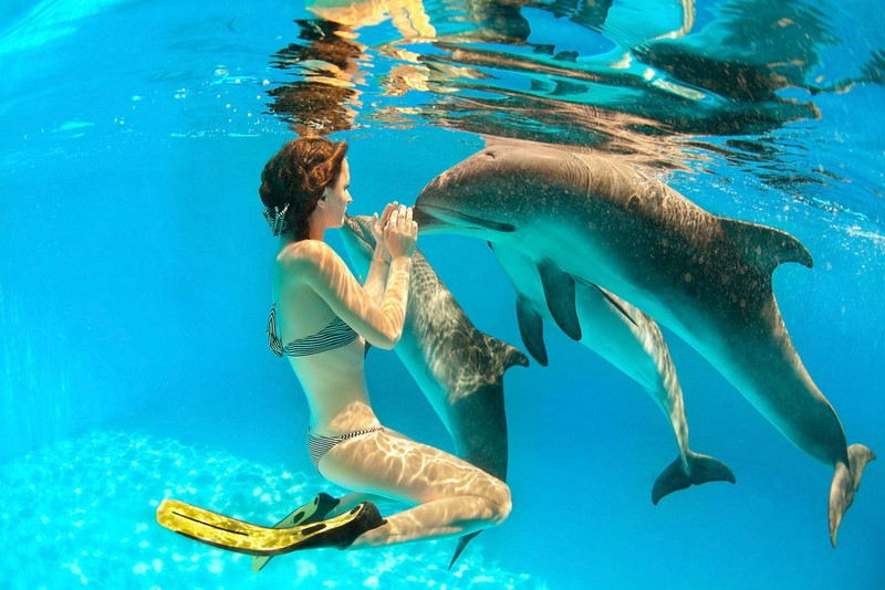 Nager Avec Les Dauphins Marineland