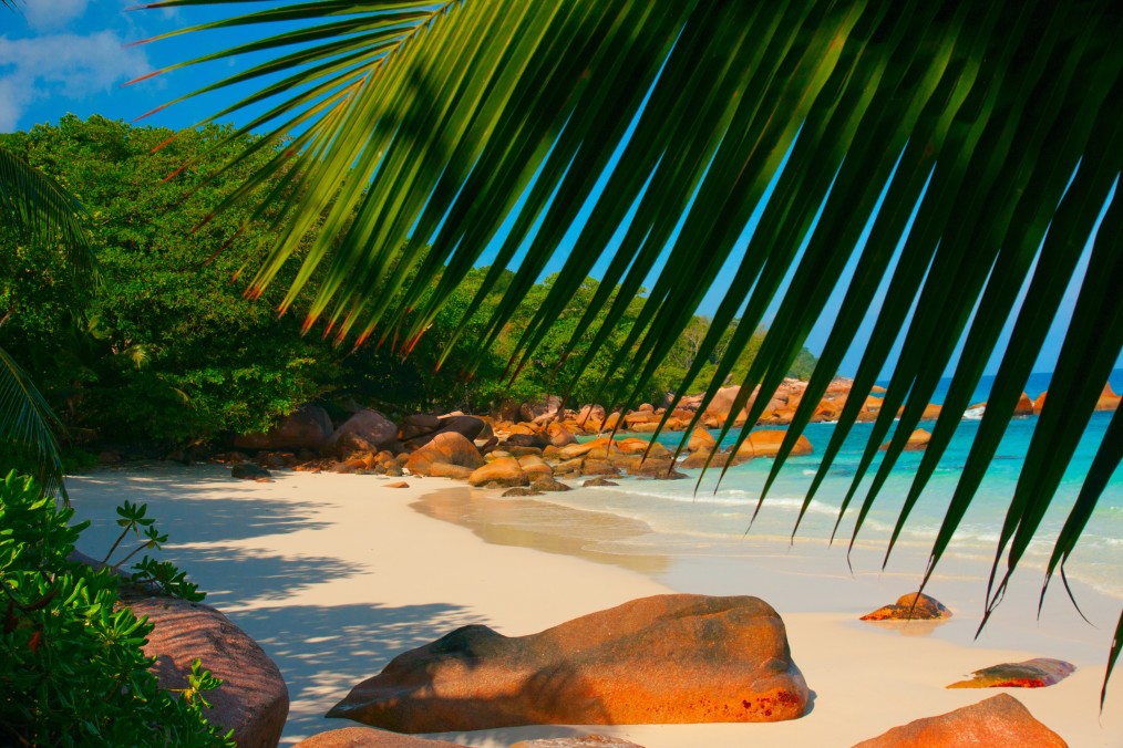 Les Seychelles : une destination de reve