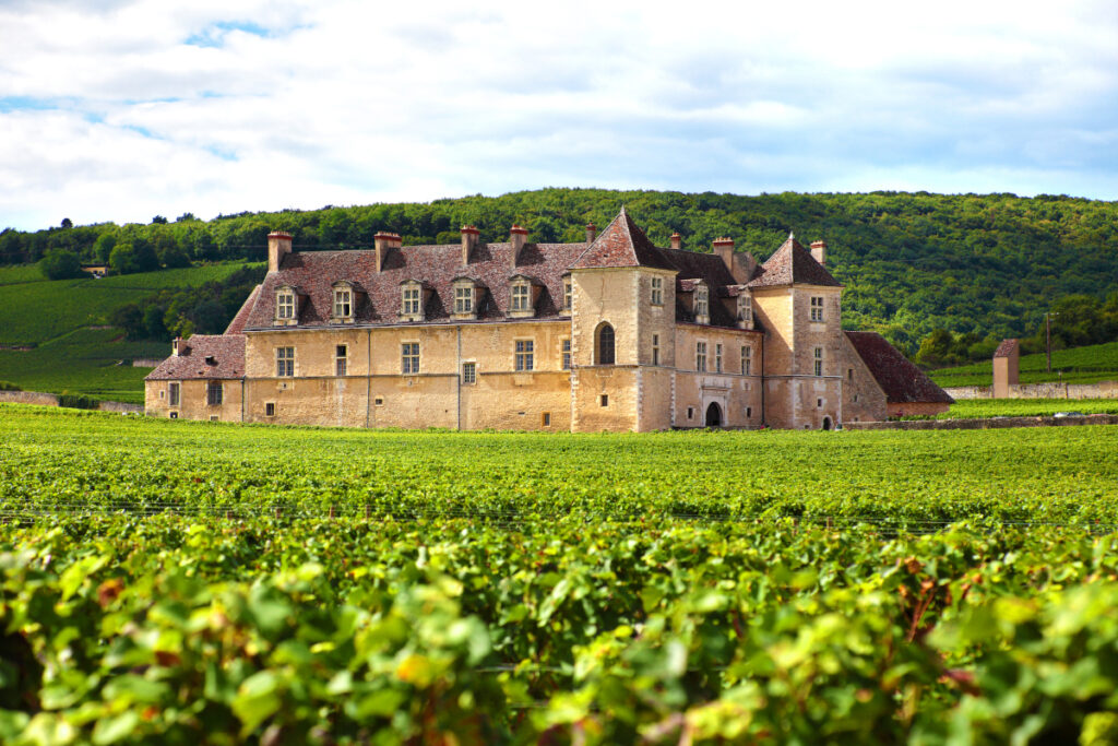 Visite des châteaux de vin de Bordeaux : les endroits à ne pas manquer