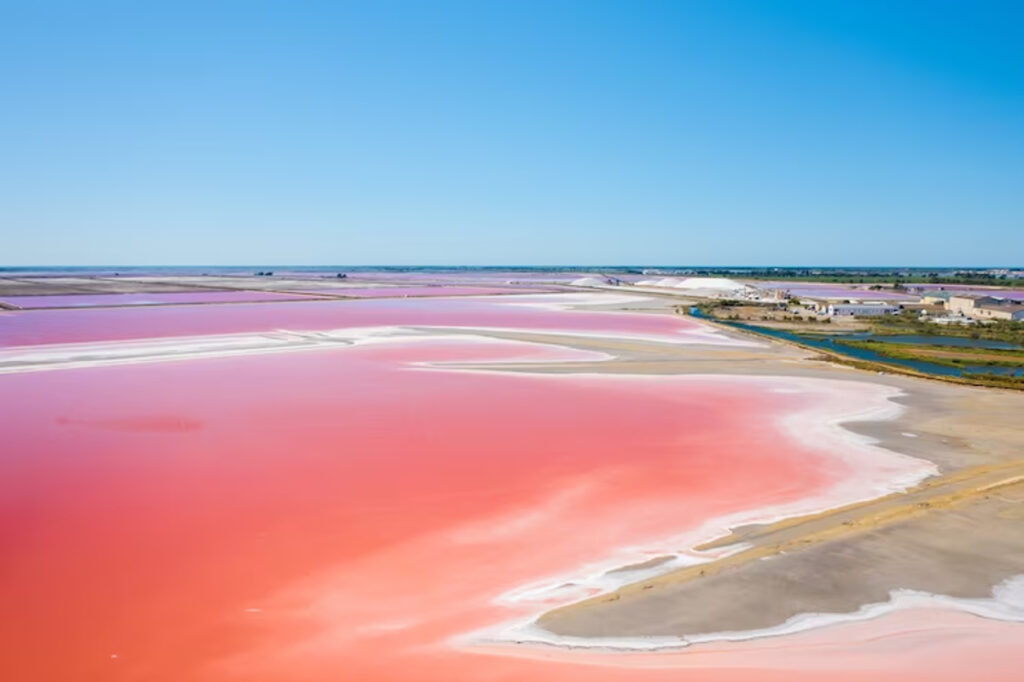 Le lac rose du Sénégal : Un spectacle naturel à couper le souffle dans ...
