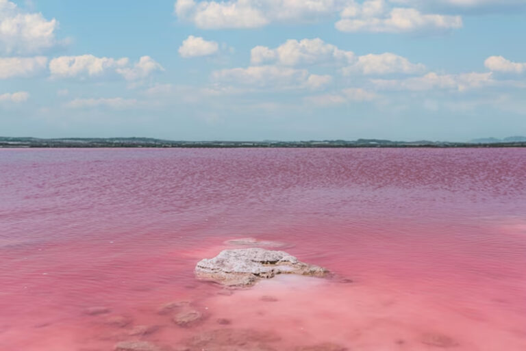 Le lac rose du Sénégal : Un spectacle naturel à couper le souffle dans ...